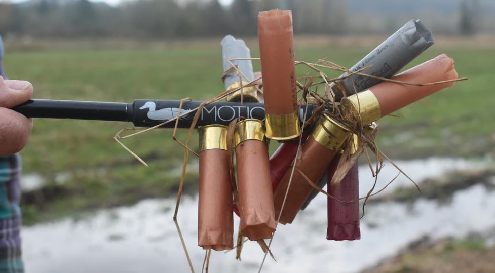 Magnetic Shell Grabber – Wild Habit